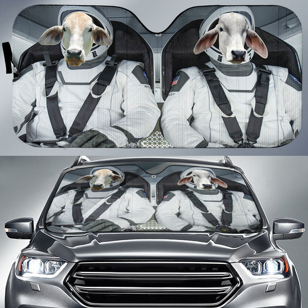 Uni Brahman Universe 3D Sun Shade – UniJames